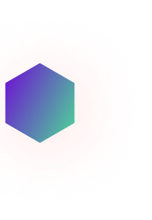 Results-Driven SEO Company in Dunedin, NZ | Netbloom