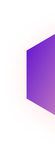 Results-Driven SEO Company in Dunedin, NZ | Netbloom